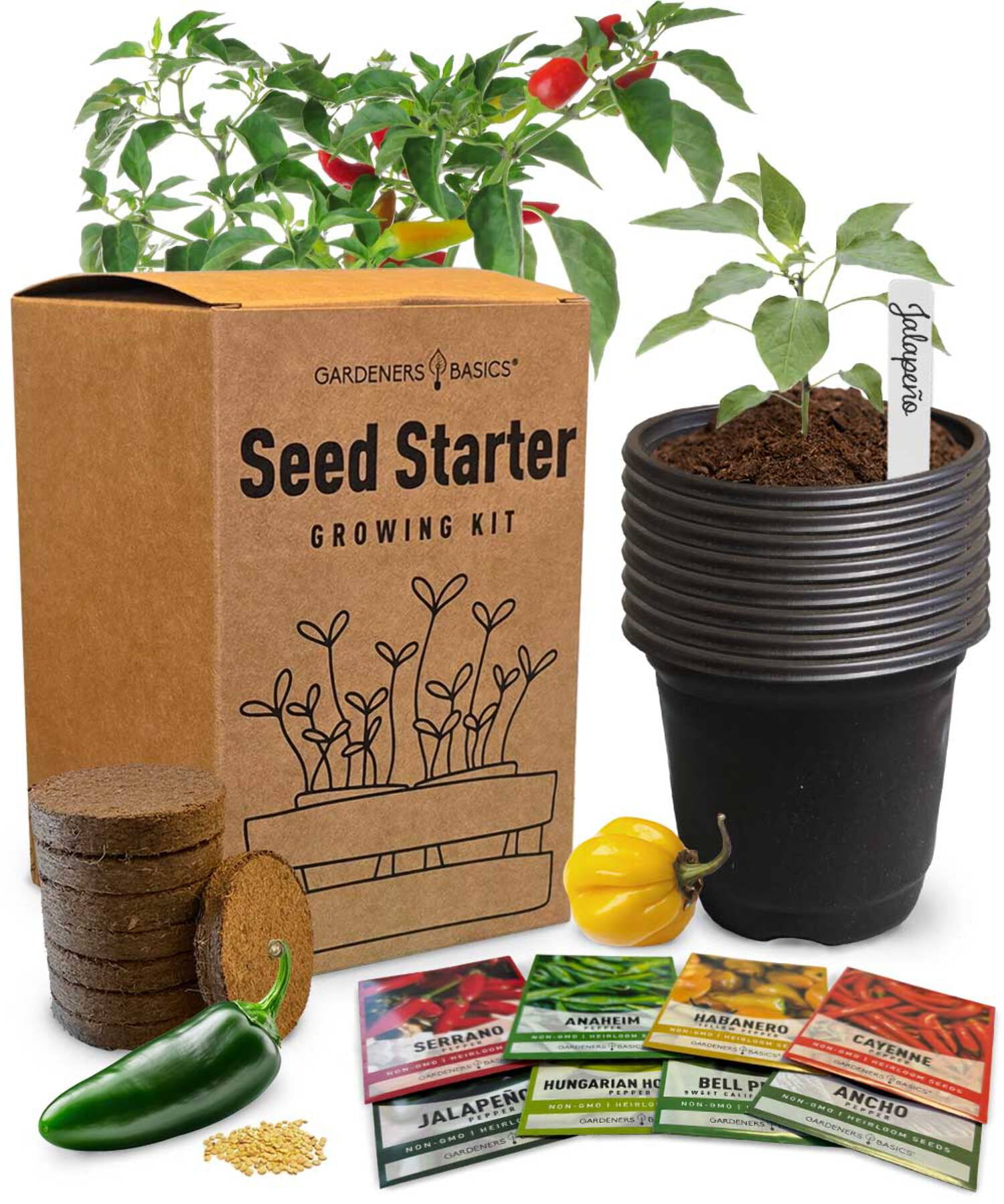 Pepper Seed Starter Kit - Walmart.com