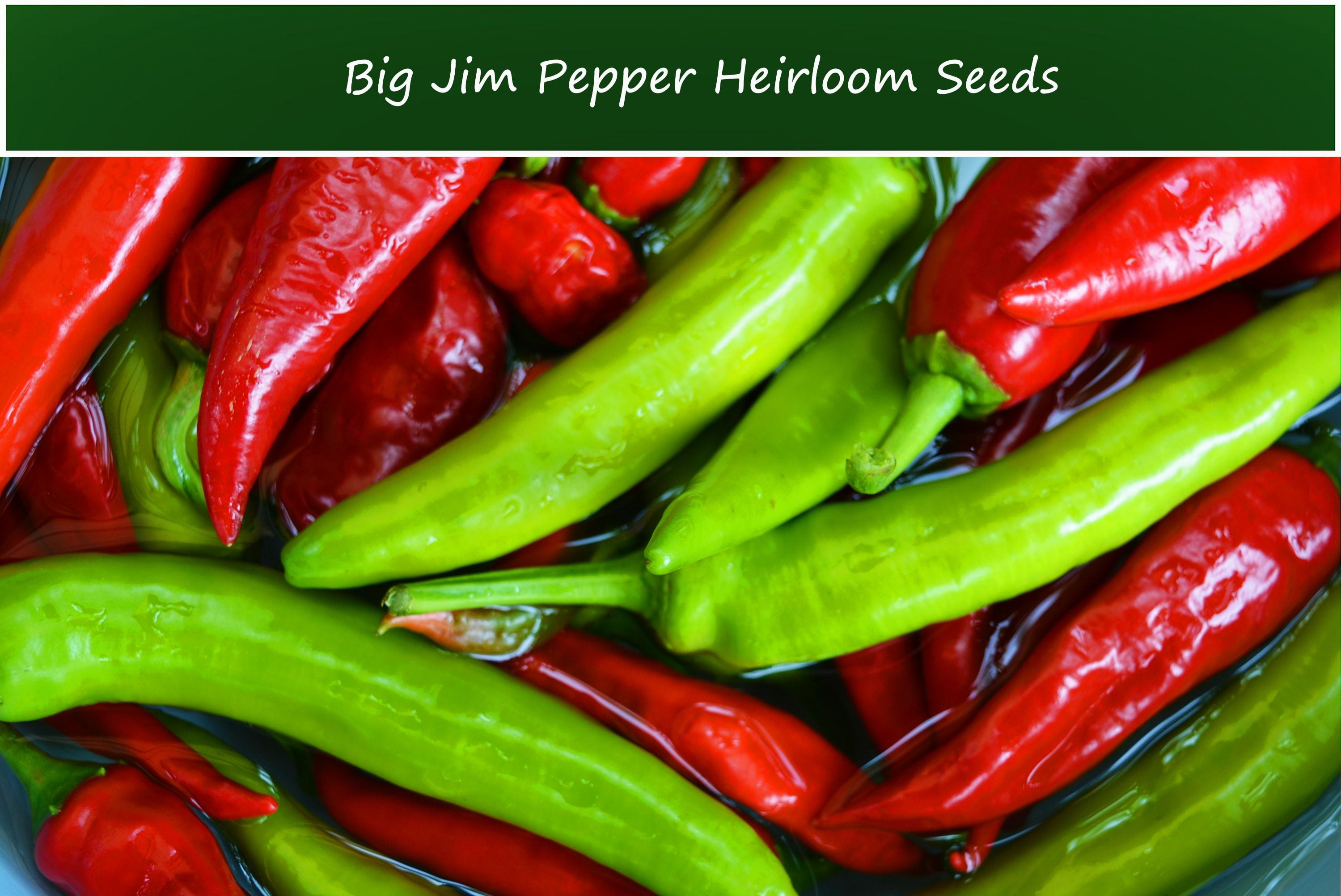 Pepper Seeds -Big Jim Pepper - 20 Heirloom Seeds-Sweet Flavor - Green ...