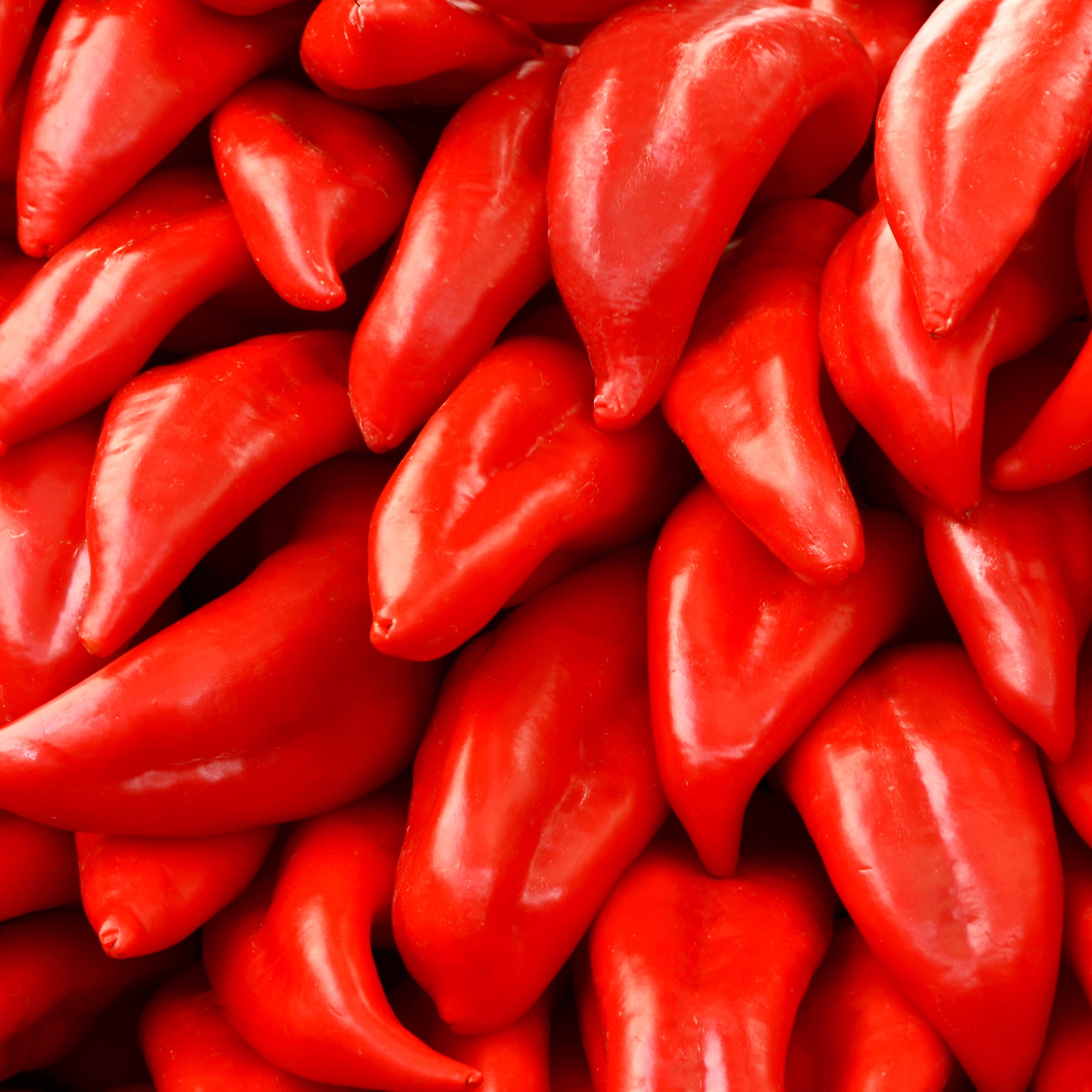 Pepper Seeds - Hot - Nu Mex College 64L - 1 Lb ~80,000 Seeds - Capsicum ...