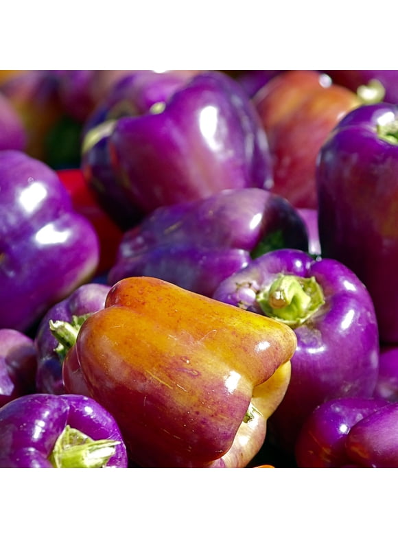 Pepper Plant Seeds in Seed Gardening - Walmart.com