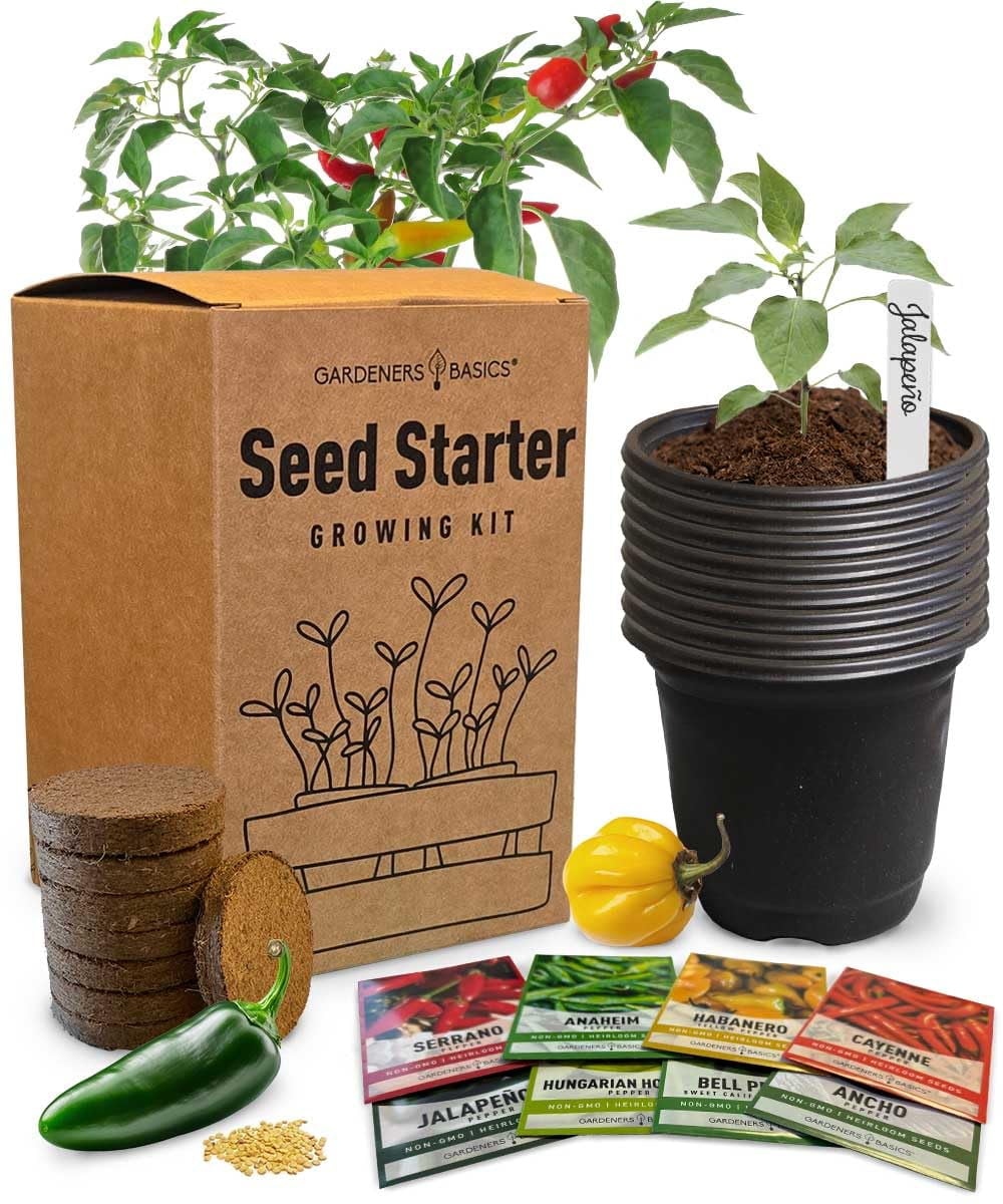 Pepper Seeds Variety Pack Indoor Pepper ITL1 Growing Kit Our Pepper ...