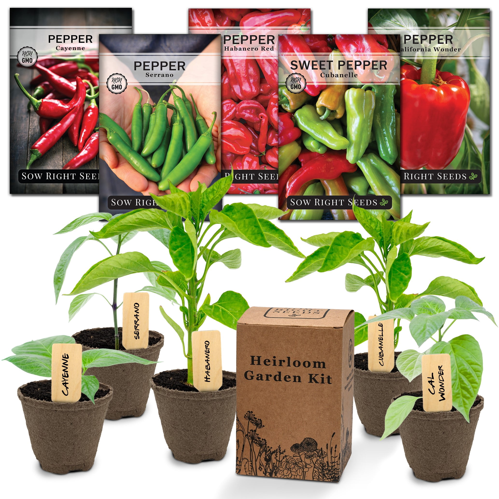 Pepper Starter Kit - Grow 5 Non GMO Pepper Plants - Includes Pots ...