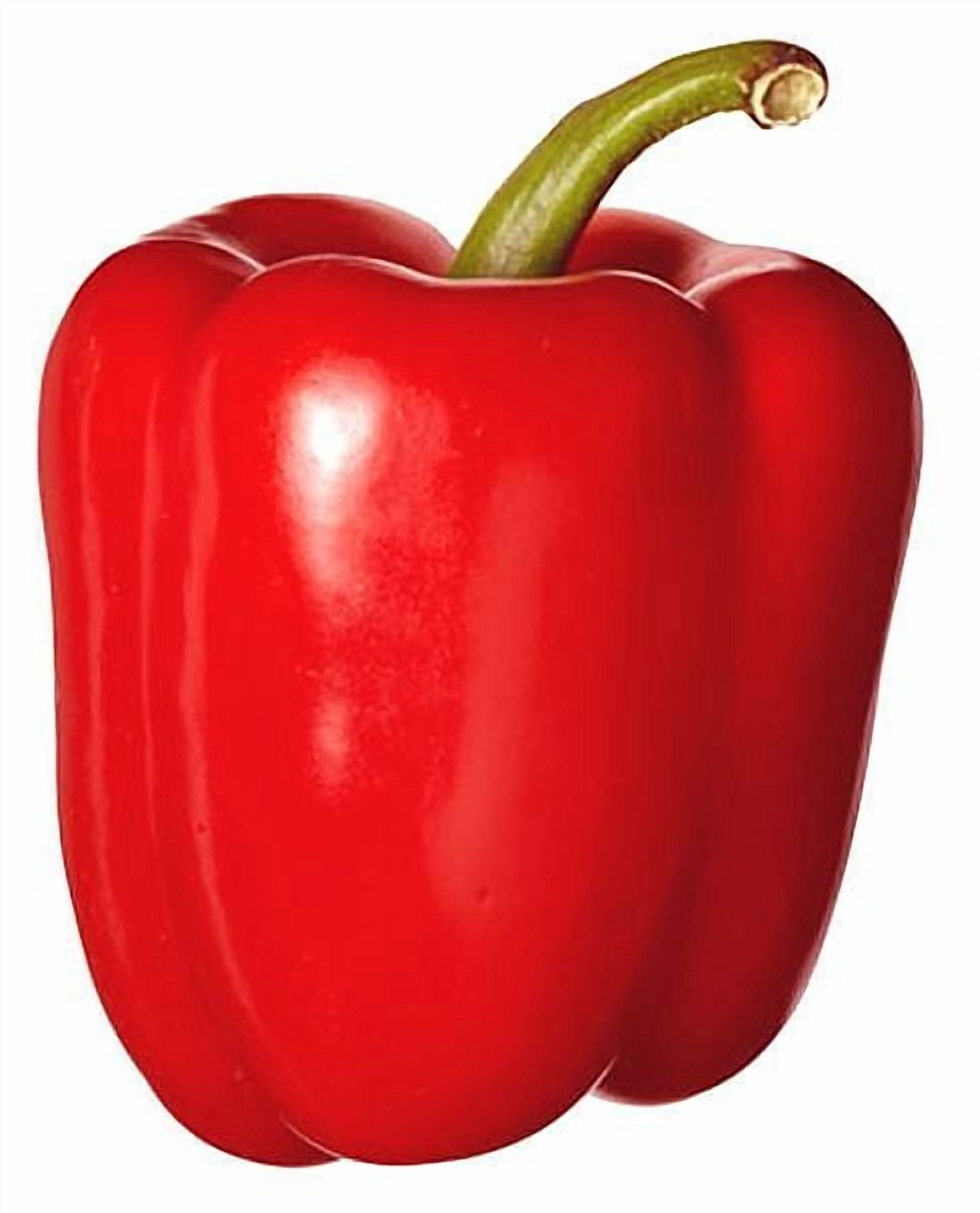 Pepper Sweet Big Red Great Heirloom Vegetable by Seed Kingdom 1 Lb ...