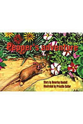 Pre-Owned Rigby PM Platinum Collection: Individual Student Edition ...