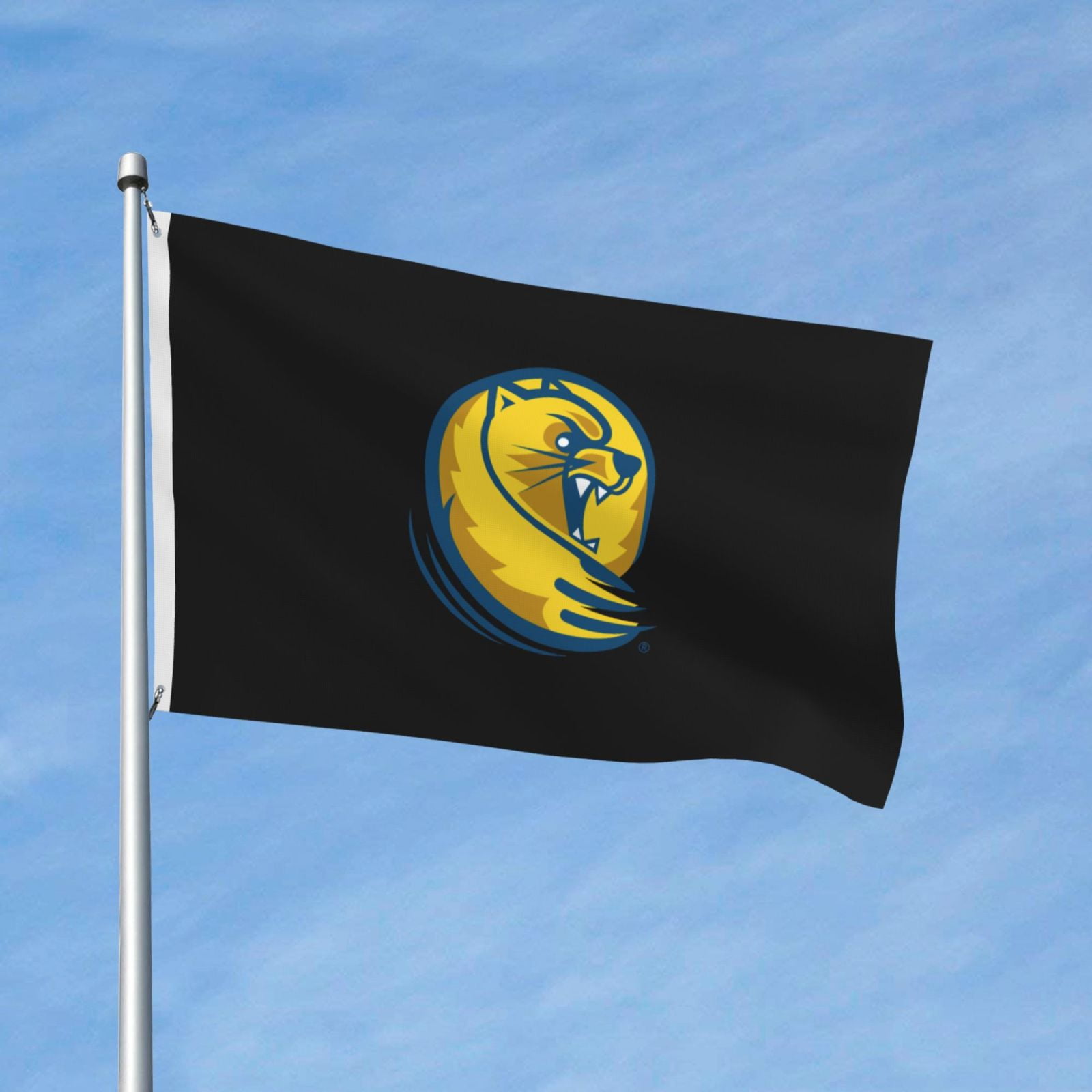 Lander University Logo Banner 3x5 Ft Flag,Double Sided Printed Flag ...