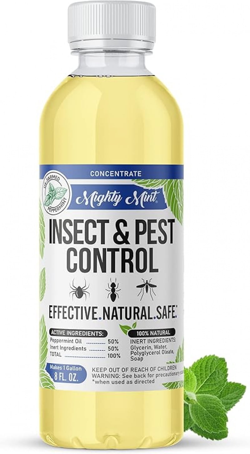 Peppermint Oil Insect Repellent Spray – Natural Indoor & Outdoor Bug Control for Spiders, Ants ...