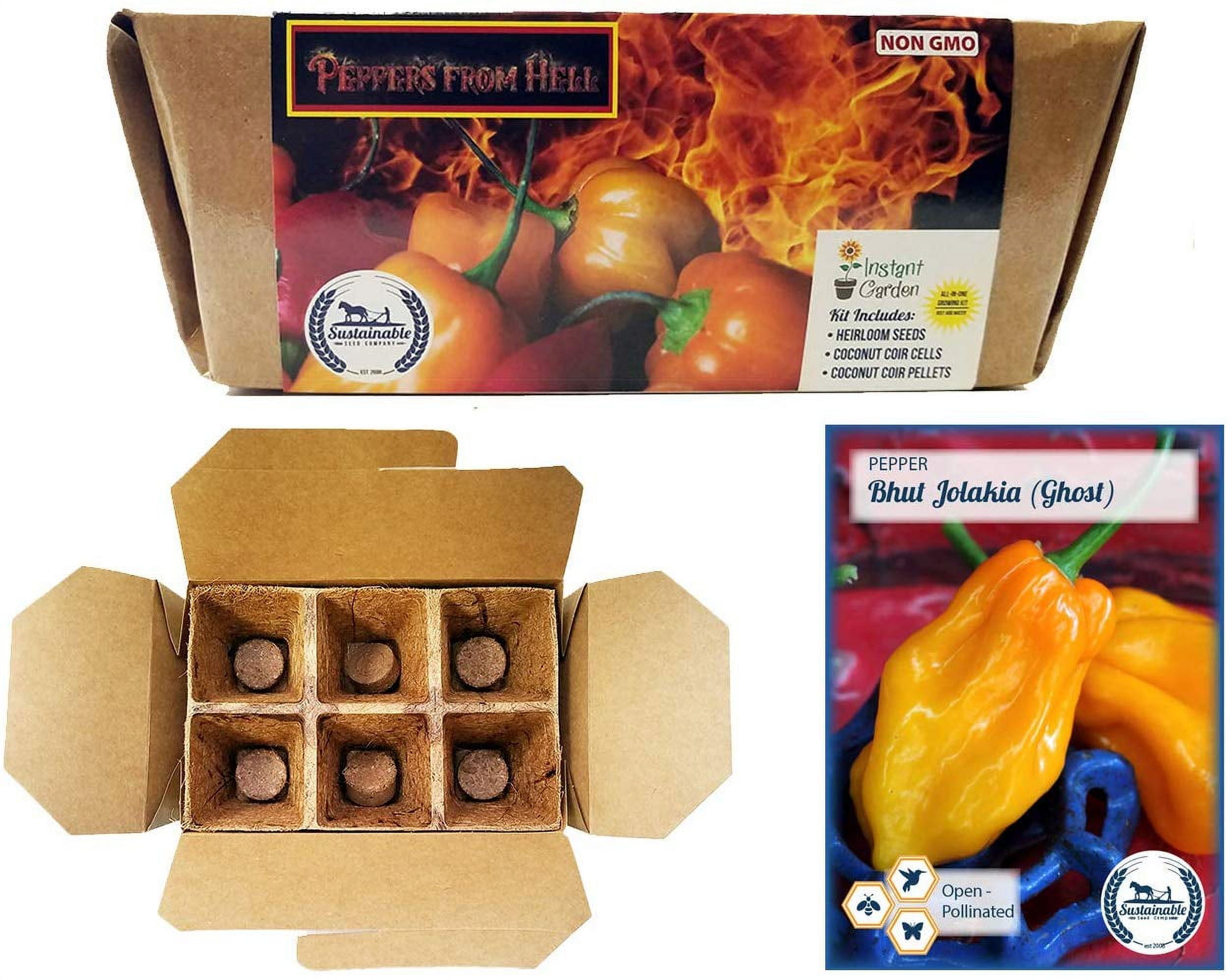 Peppers from Hell Seed Starter Kit - Includes Non-GMO Heirloom Ghost ...