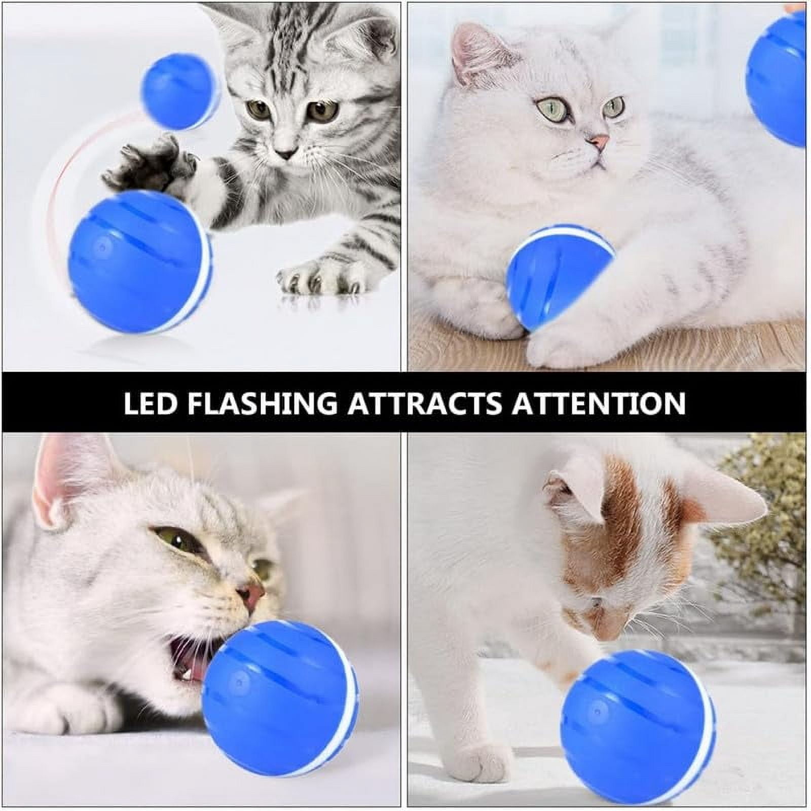 Peppy Pet Ball for Dogs, Peppy Pet Ball for Cats, Peppy Pet Ball for ...
