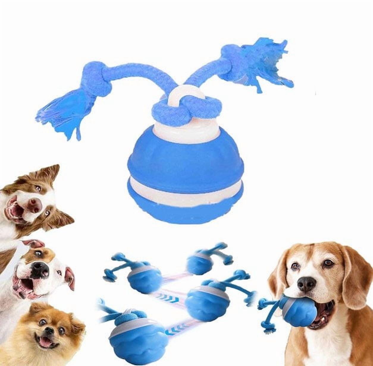 Peppy Pet Ball for Dogs, Dog Interactive Toys, Motion Activate Rolling ...
