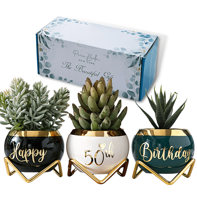 Pera Bella Happy 50th Birthday Gift Set, Unique Succulent Pots for ...