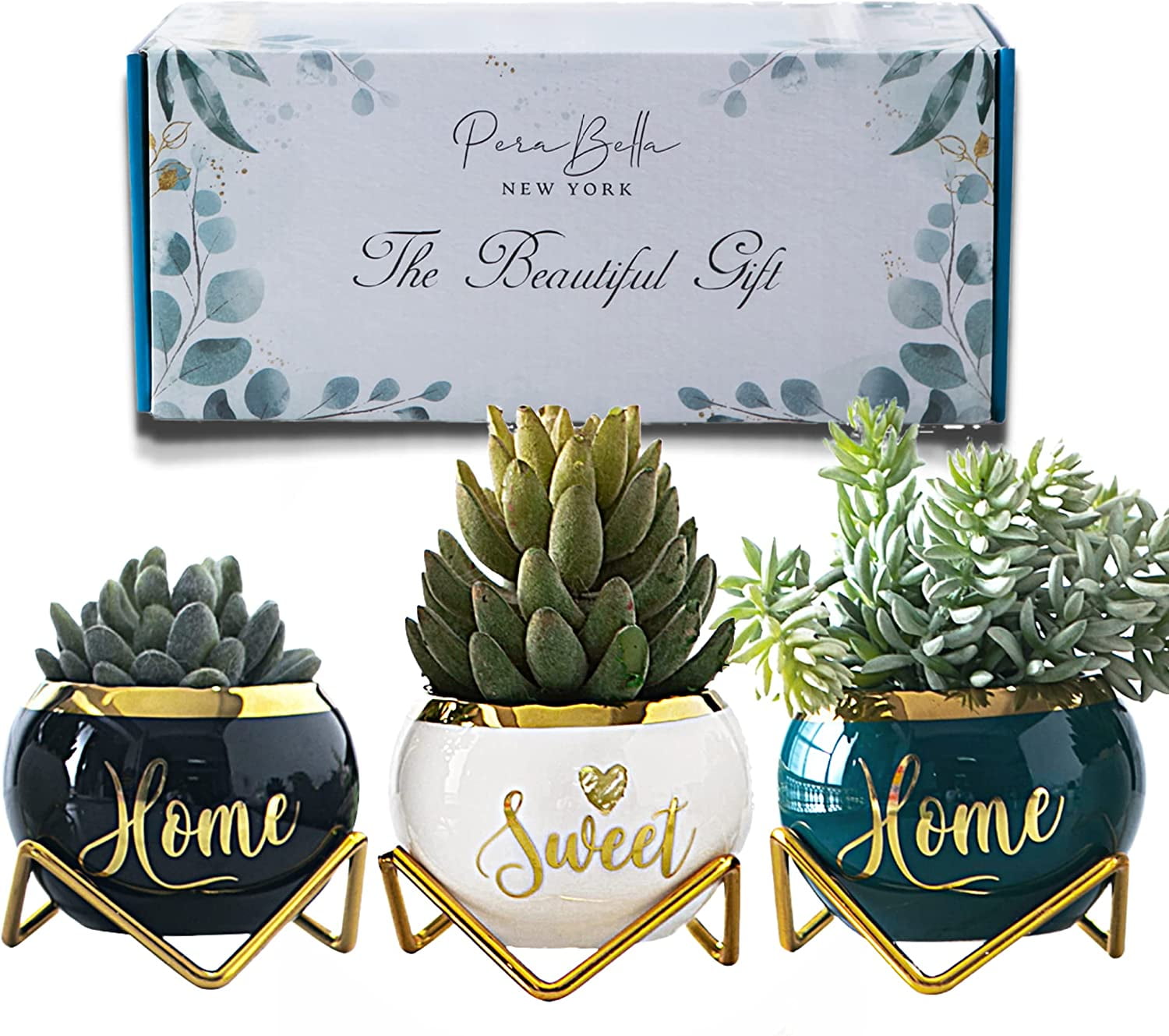 Perabella Succulent Pots, House Warming Gifts, New Home Decor ...