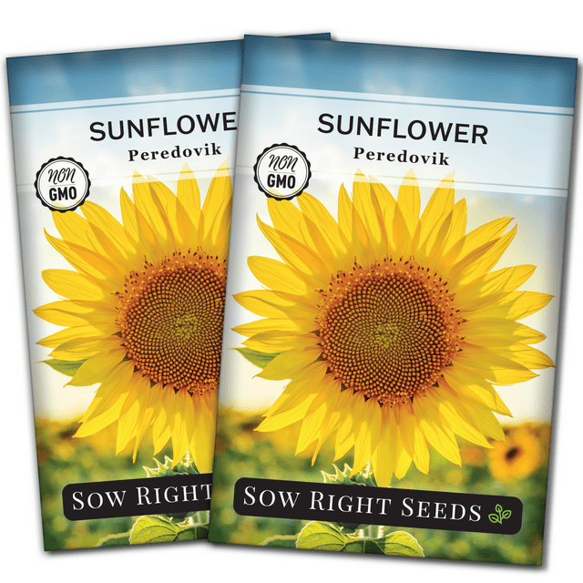 Peredovik Sunflower Seeds - Non GMO Heirloom Varieties for your Flower ...
