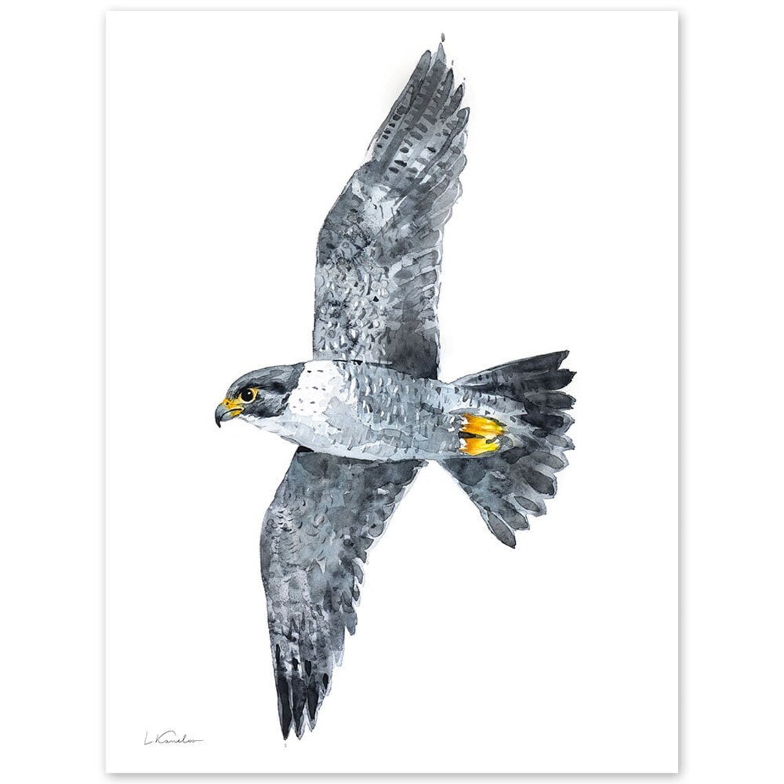 Peregrine Falcon, Bird In Flight Poster, Bird Of Prey Art, Wall Decor ...