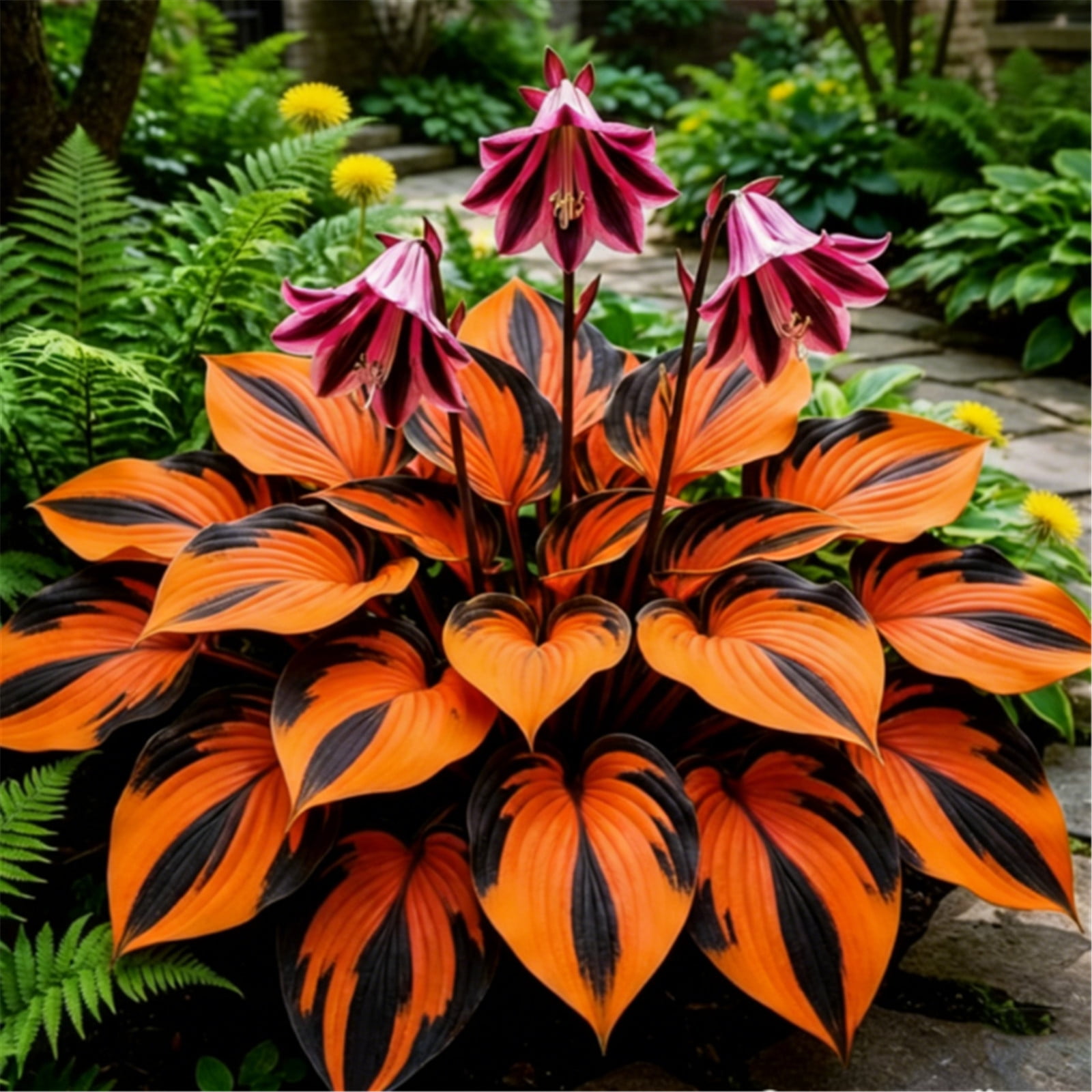 Perennial-Hosta-Bulbs For Early Spring Planting - Premium Garden Stakes ...