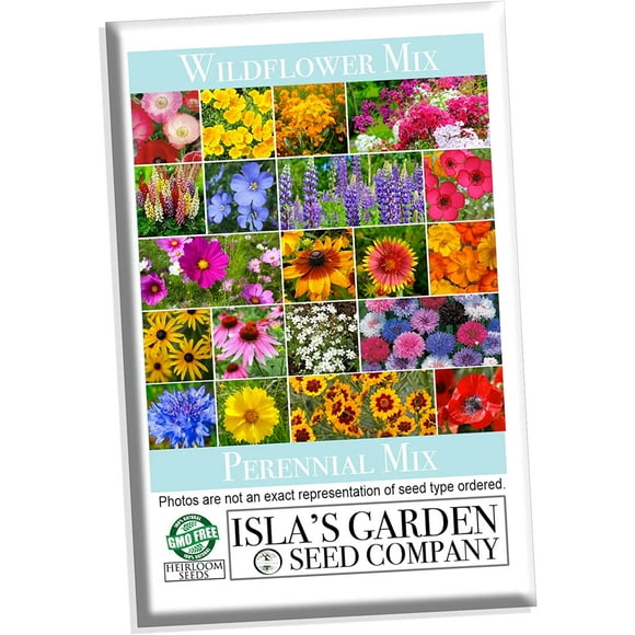 Wildflower Mix Flower Seeds in Seed Gardening - Walmart.com