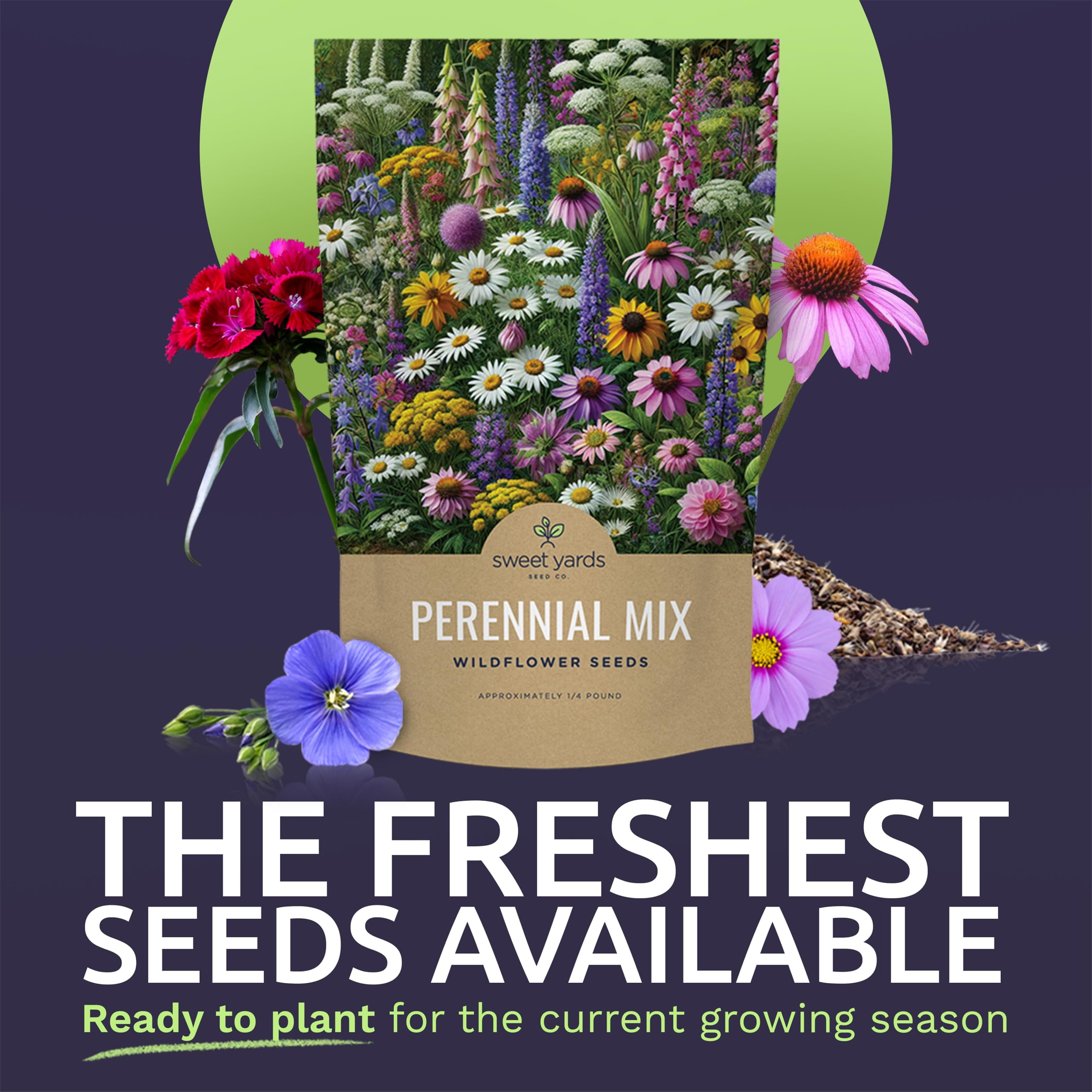 Perennial Wildflower Seeds Mixture - Bulk 1/4 H2FSDPound Bag - Over ...