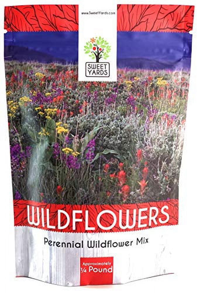 Perennial Wildflower Seeds Mixture - Bulk 1/4 Pound Bag - Over 60,000 ...