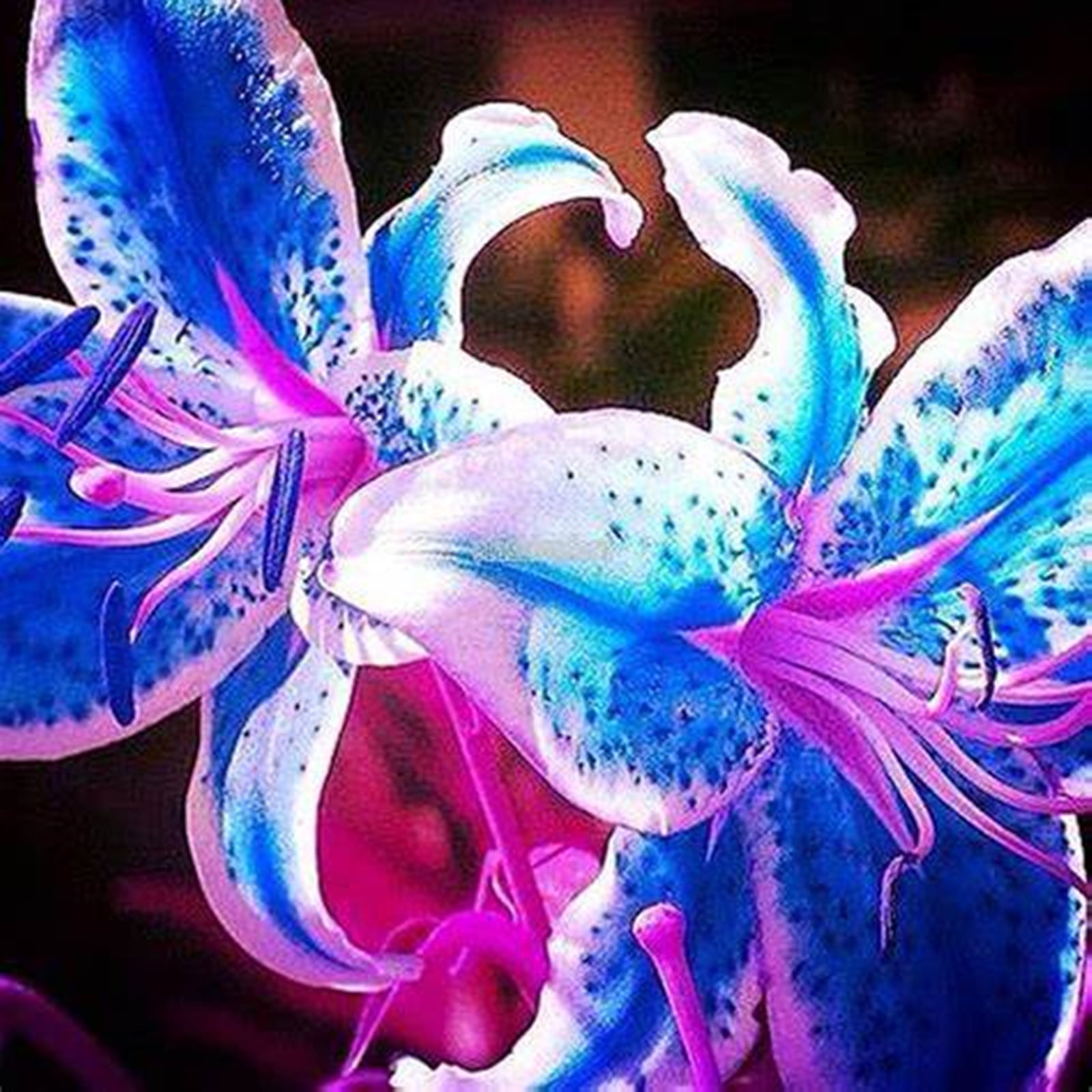 Perennial lily, Long Lasting, Garden (Lilies) Rich Colors - Walmart.com