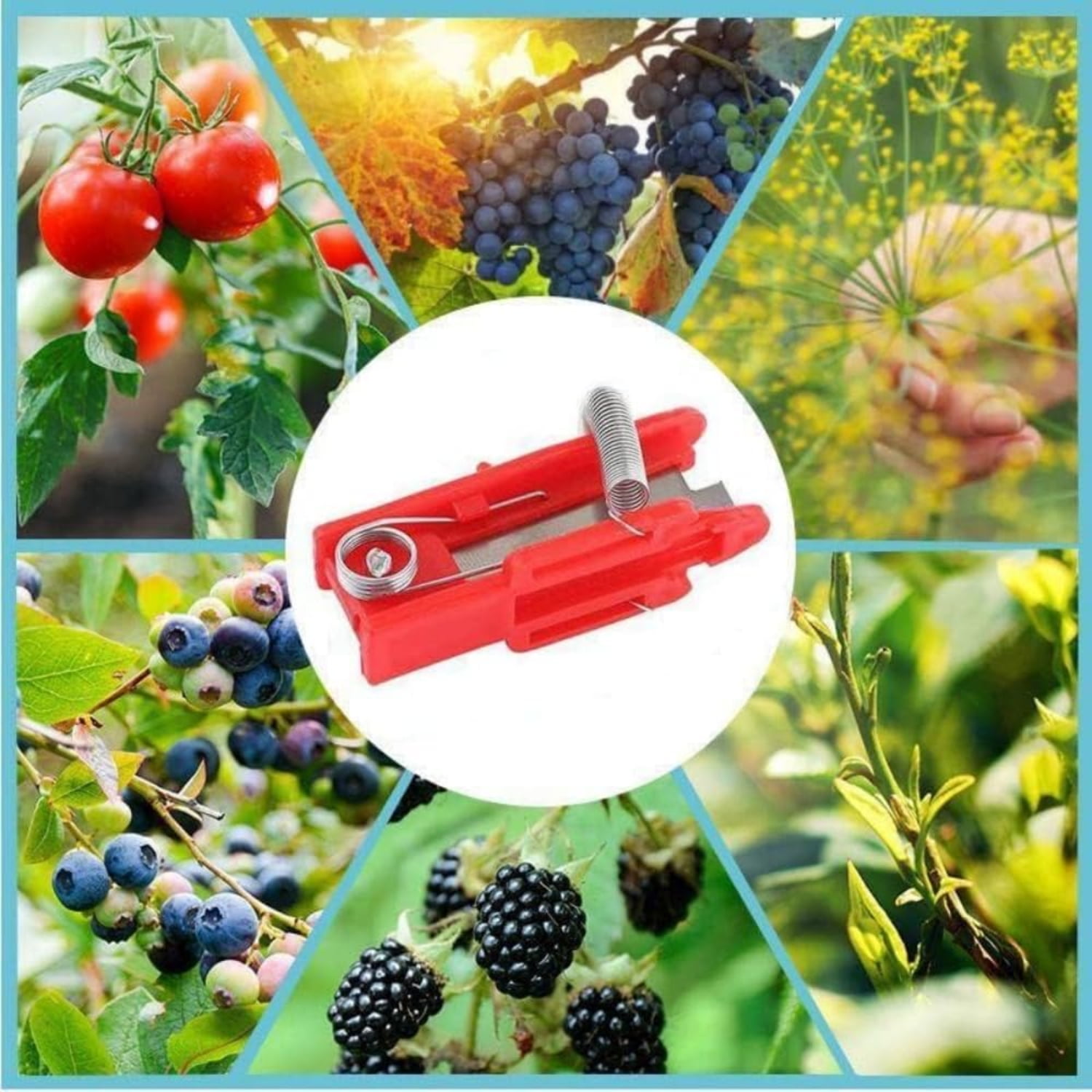 Perfect 6pcs Multifunctional Gardening Thump and Finger Fruit Picker ...