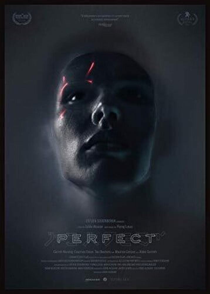 Perfect (DVD) - Walmart.com