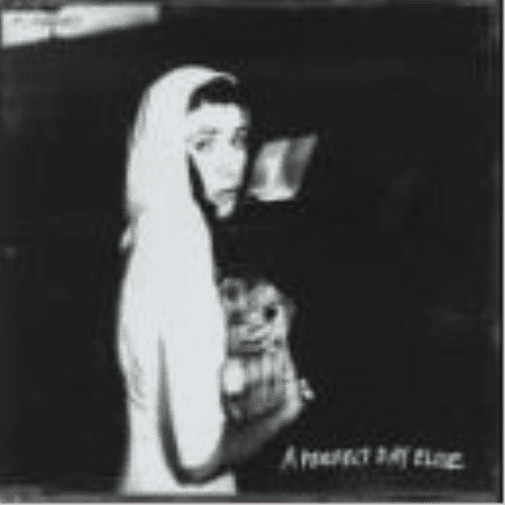 Perfect Day Elise PJ Harvey (CD) - Walmart.com