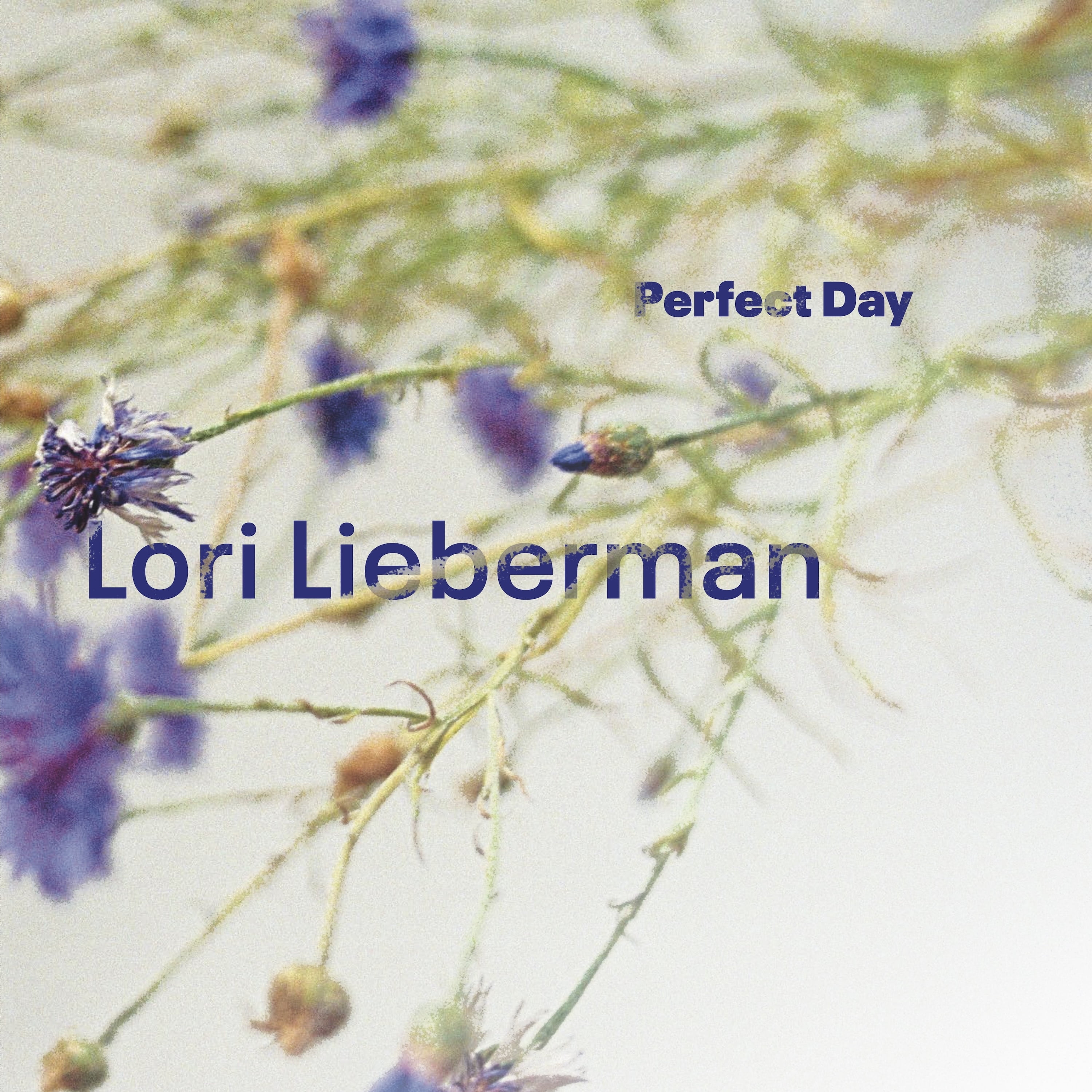 Lori Lieberman - Perfect Day - Music & Performance - Vinyl - Walmart.com