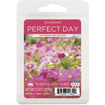 ScentSationals Soothing Girlfriend Night Scented Wax Melts, 5 oz - Walmart.com