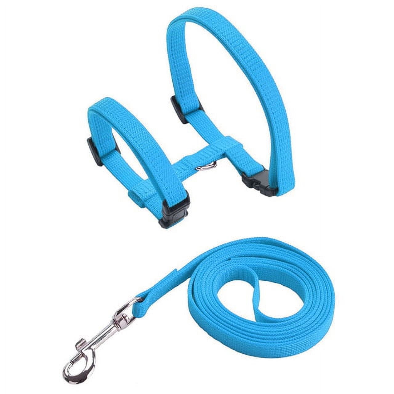 Perfect Durable and Easy-to-Use Pet Wardrobe for Adventurous Pets ...