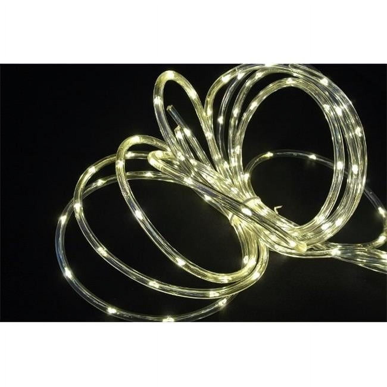 Perfect Holiday 20 LED Tube String Light Battery Operated - Warm White ...