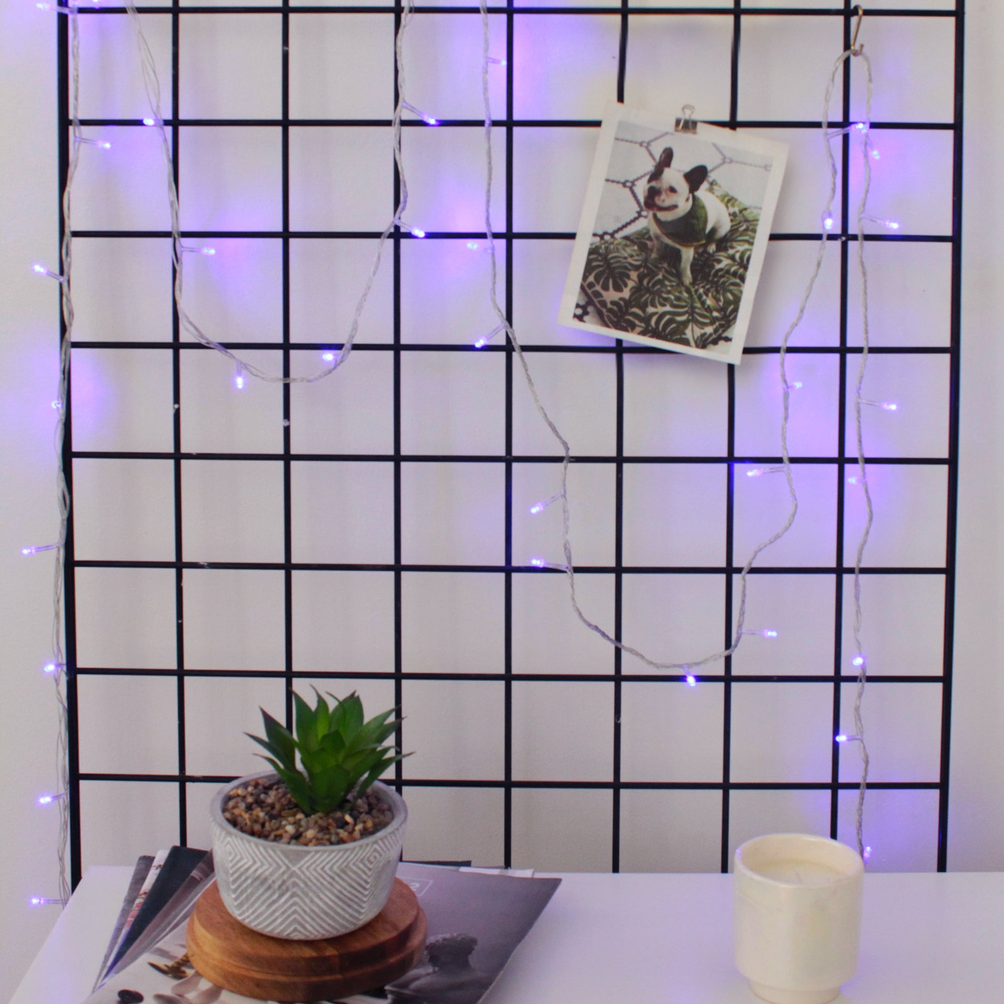 Perfect Holiday 30 Purple LED 3M Battery Operated String Light, 9ft ...