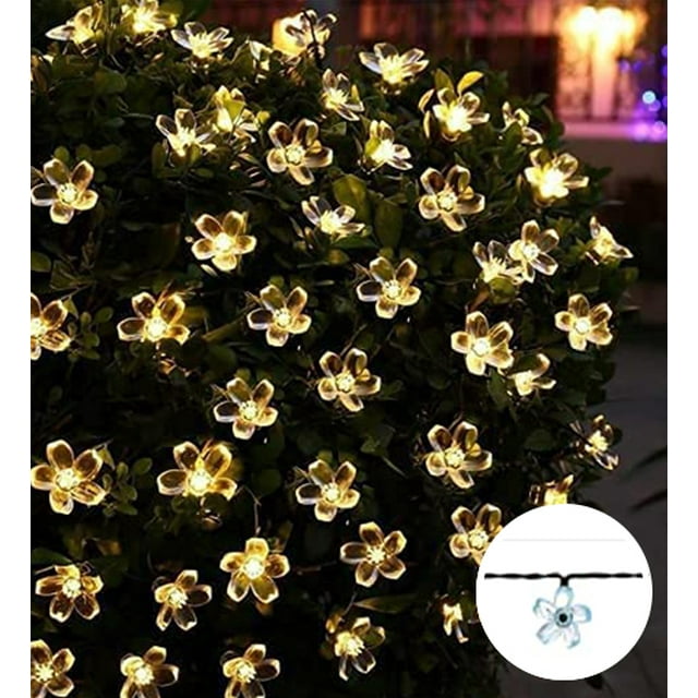 Perfect Holiday 50 LED Solar String Lights,Waterproof with Cherry ...