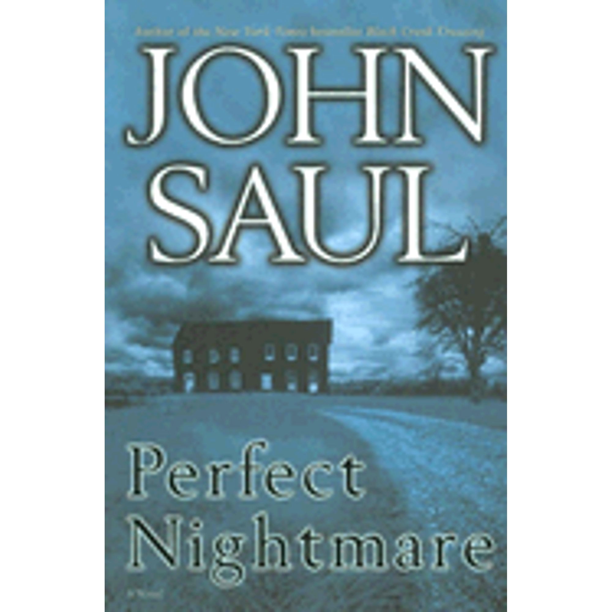 Perfect Nightmare (Hardcover) - Walmart.com