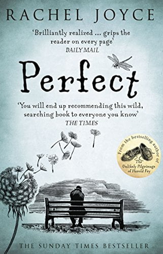 Perfect (Paperback) - Walmart.com