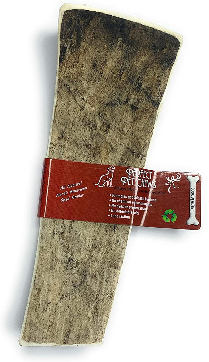 Perfect Pet Chews Moose Antler Dog Chew - Grade A, All Natural, Organic ...