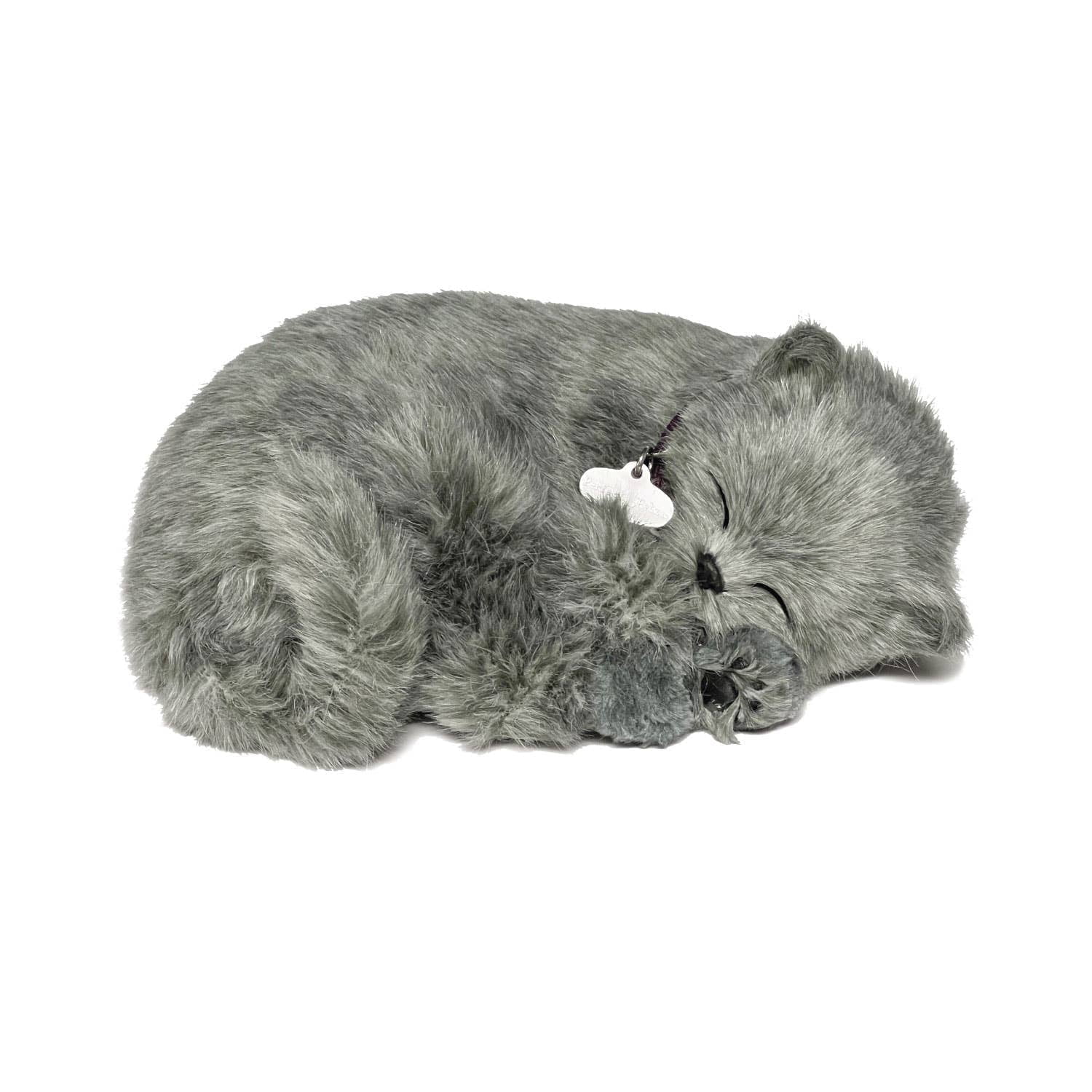 Perfect Petzzz Original Gray Shorthair, Realistic, Life-Like Stuffed ...