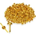Performore 500 Pcs of 8mm x 16mm Brass Round Head Fastener, Brads for ...