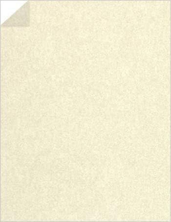 Pergamenata Natural Parchment Paper - 27 X 39" - 110 GSM - Ten Sheet ...