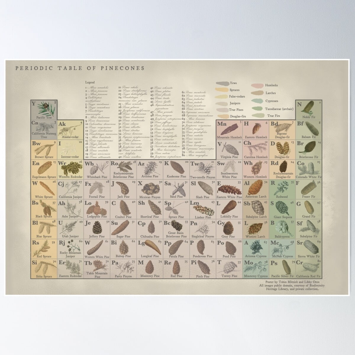 Periodic Table Of Pinecones Poster Poster Wall Art, Modern Wall Decor For Living Room Bedroom ...