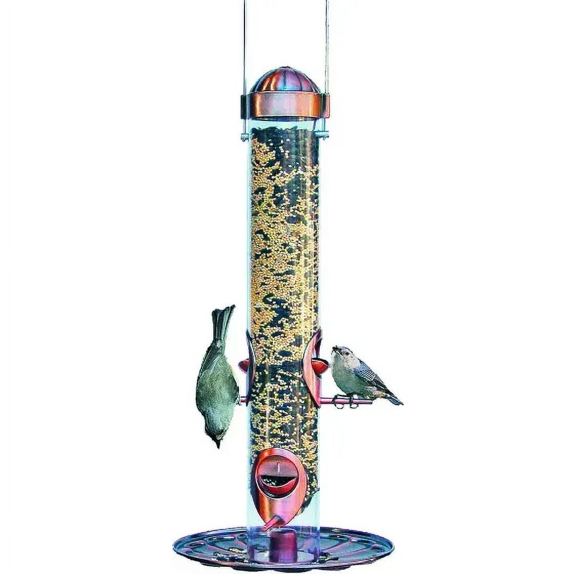 Perky Pet 385-2 1.8 Pound 2 Inch 1 Port Copper Feeder (Case of 2 ...