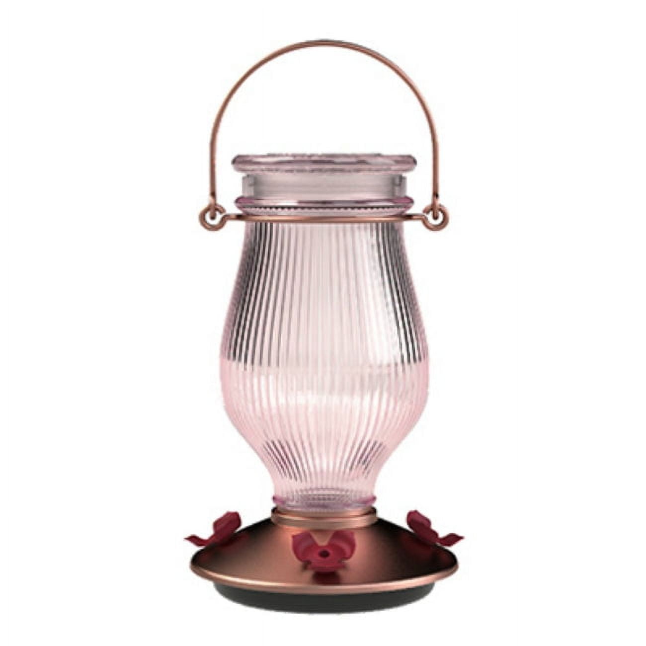 Perky-Pet 9104-2 Top Fill Glass Hummingbird Feeder, Sun Kissed, 24 Oz ...