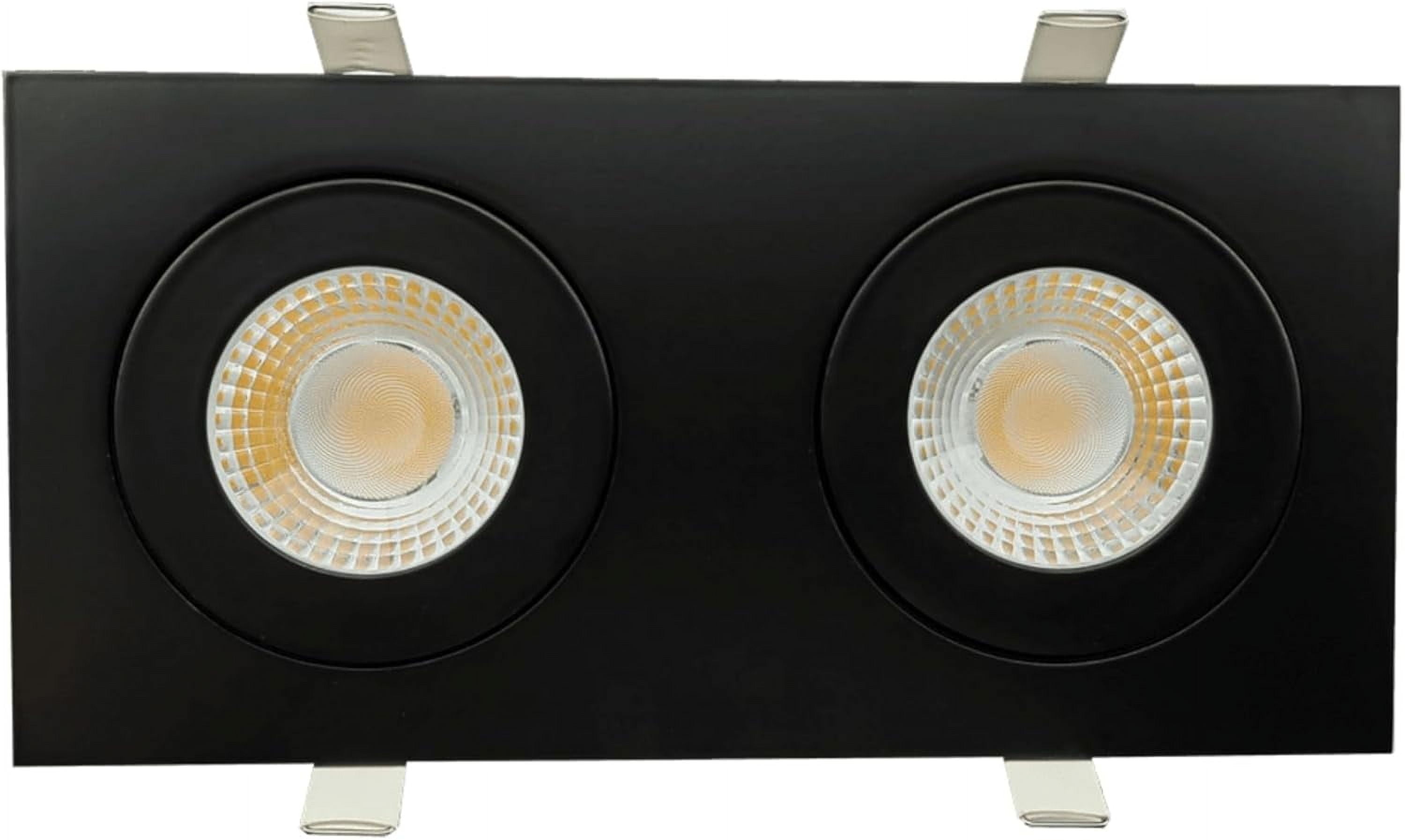 Perlglow 4 inch 2 Head Multiple Gimbal Black Downlight Luminaire LED ...