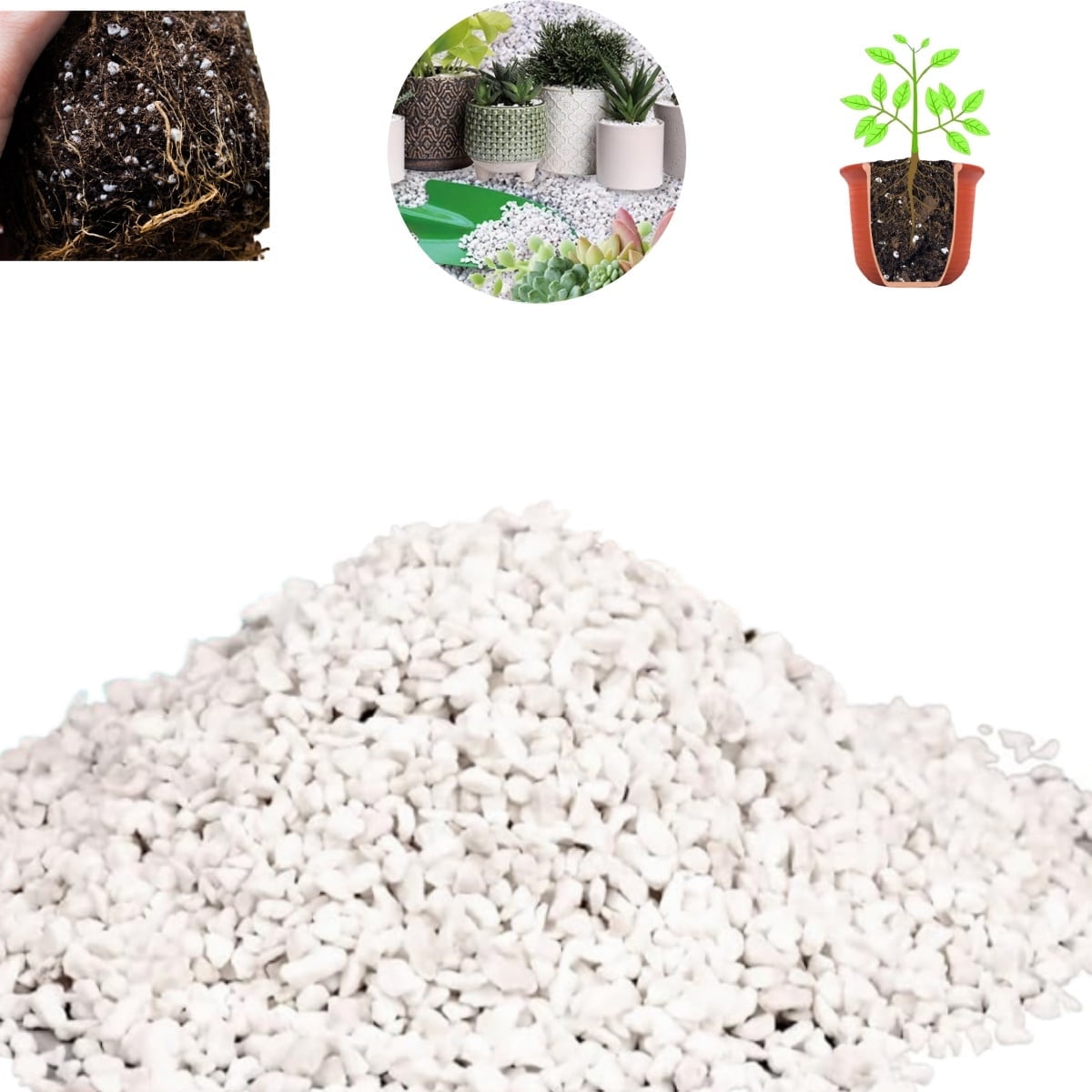 Tutuviw Perlite for Gardening, White Pebbles, Succulent Gravel, Small ...
