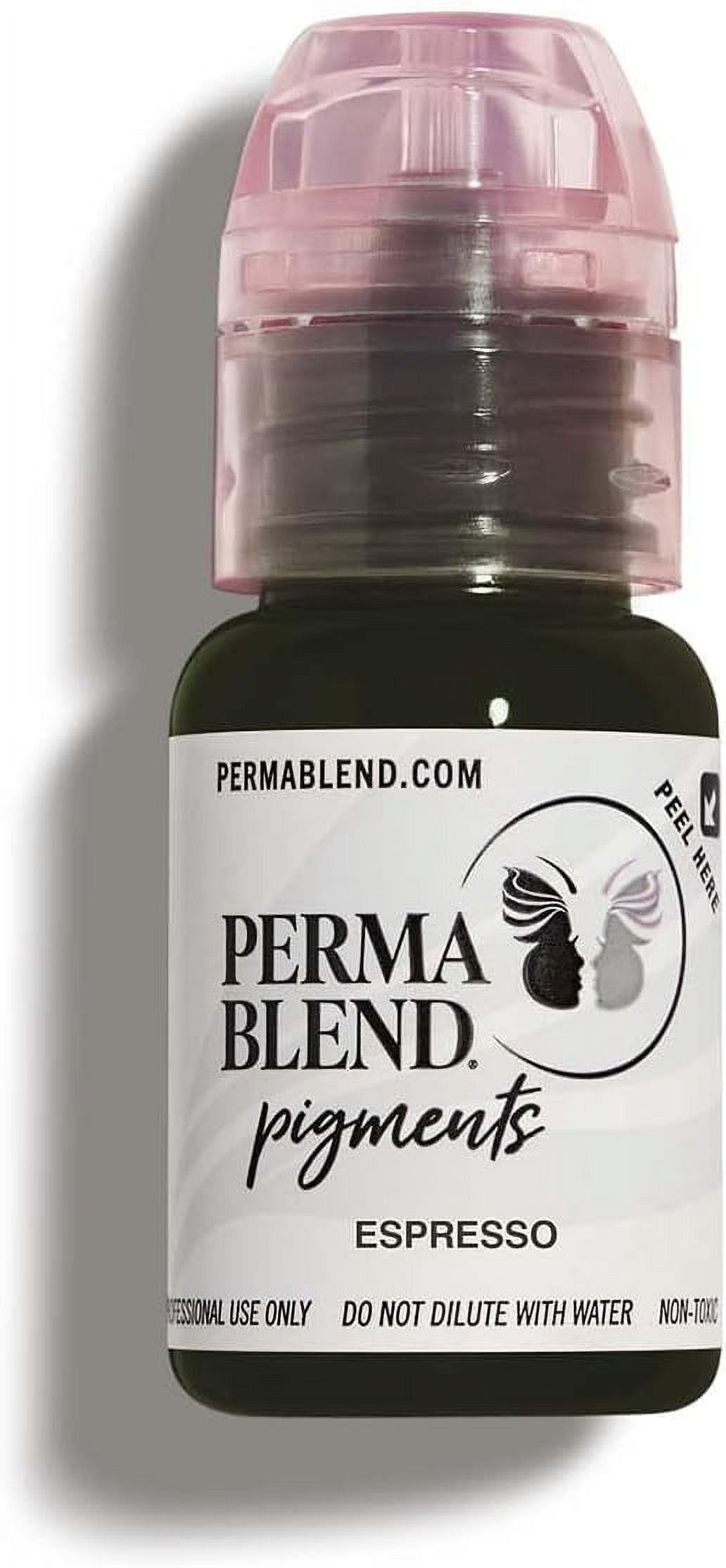 Perma Blend Permanent Makeup for Eyebrows, Used For Microblading and ...