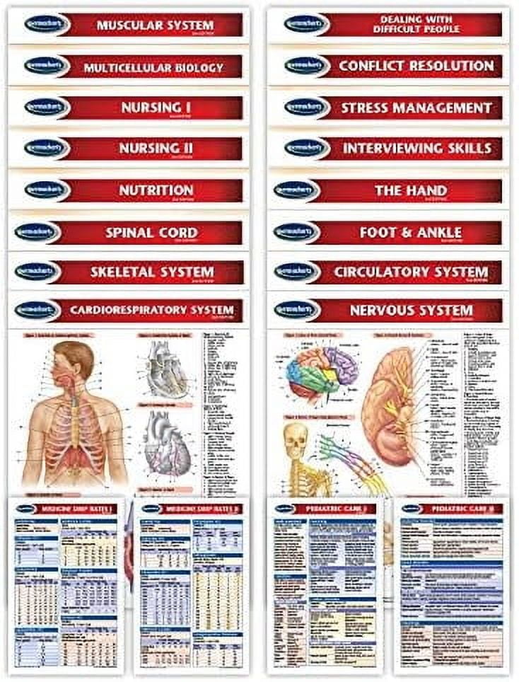 Permacharts Nursing, BSN, Registered Nursing Year 1 Curriculum ...