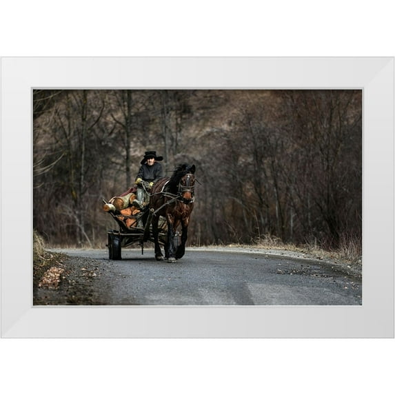 Perovich, Irene 18x13 White Modern Wood Framed Museum Art Print Titled ...