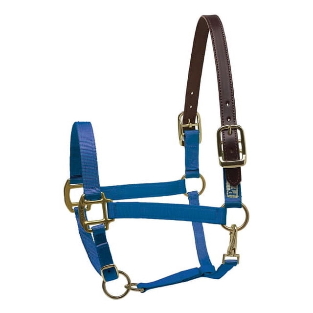 Breakaway Halter - Cob Colors: Royal Blue - Walmart Business Supplies