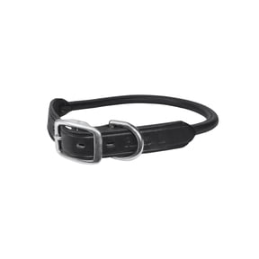 Shop Rolled Leather Dog Collars for All Sizes and Colors Online