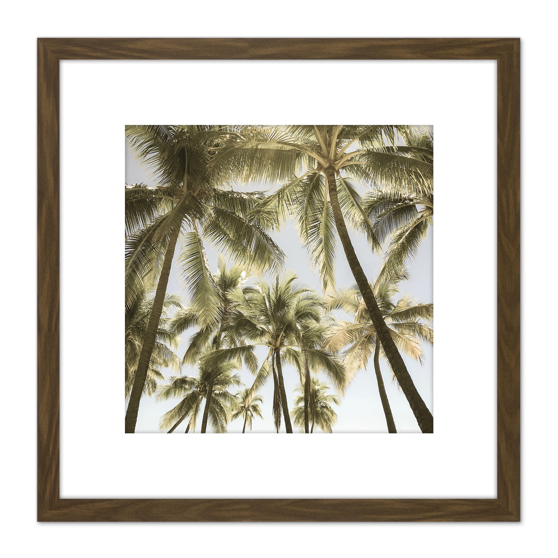 Perrington Tropical Palm Trees Photo 8X8 Inch Square Wooden Framed Wall ...