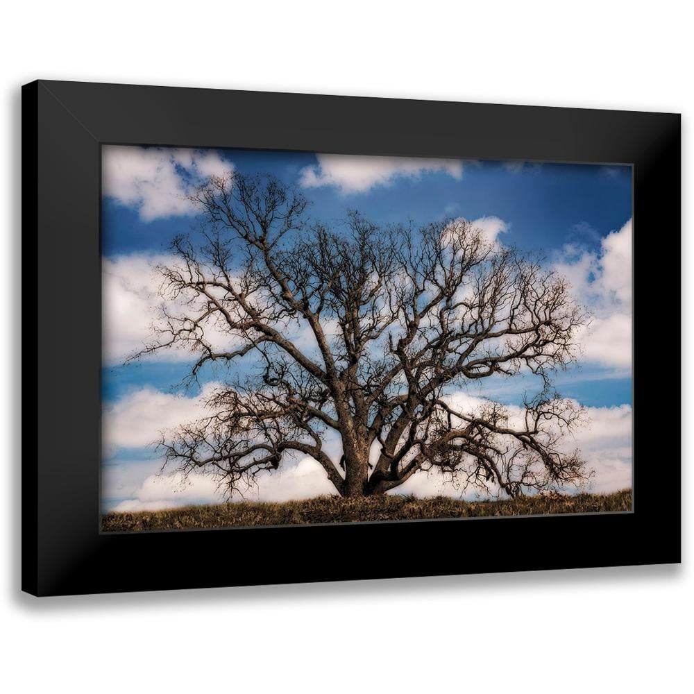 Perry, Rachel 14x11 Black Modern Framed Museum Art Print Titled - Grand ...