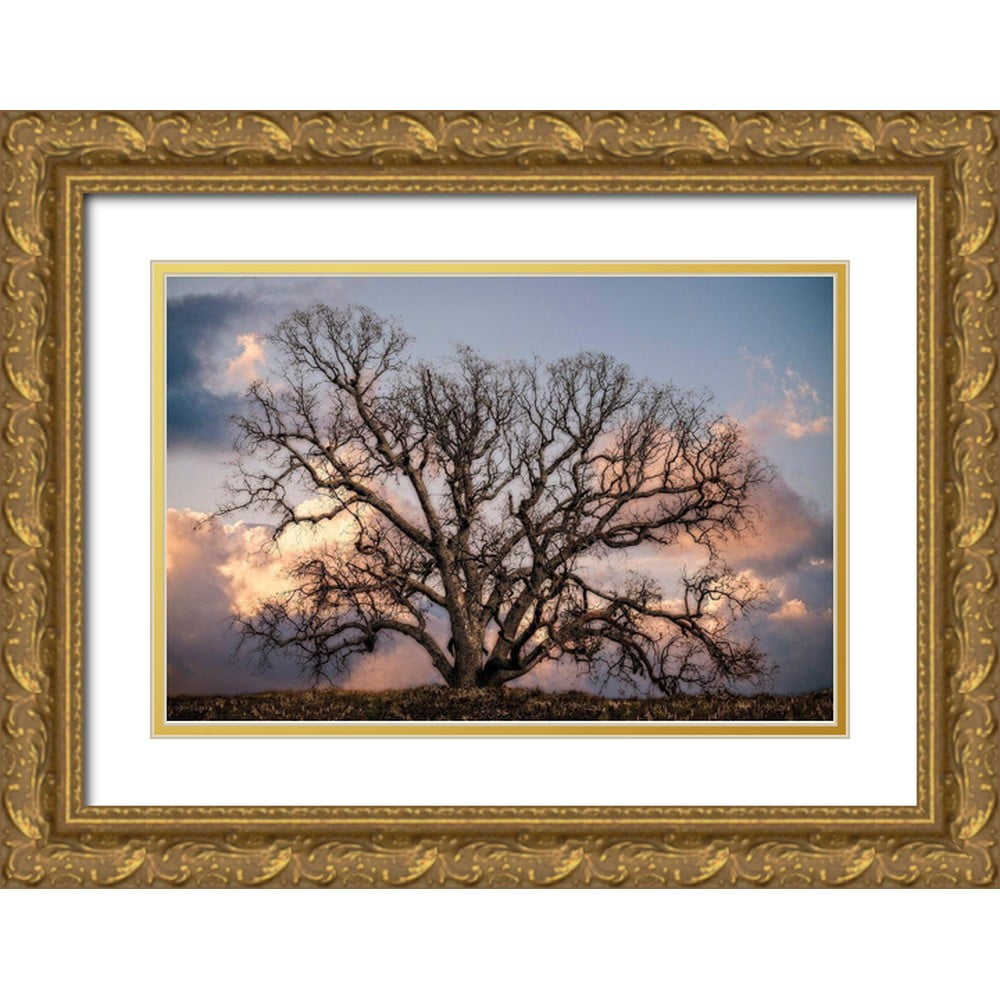 Perry, Rachel 14x11 Gold Ornate Wood Framed with Double Matting Museum ...